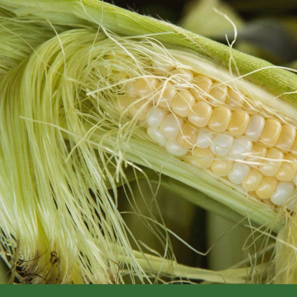 Gaia Garden Herbals Inc.